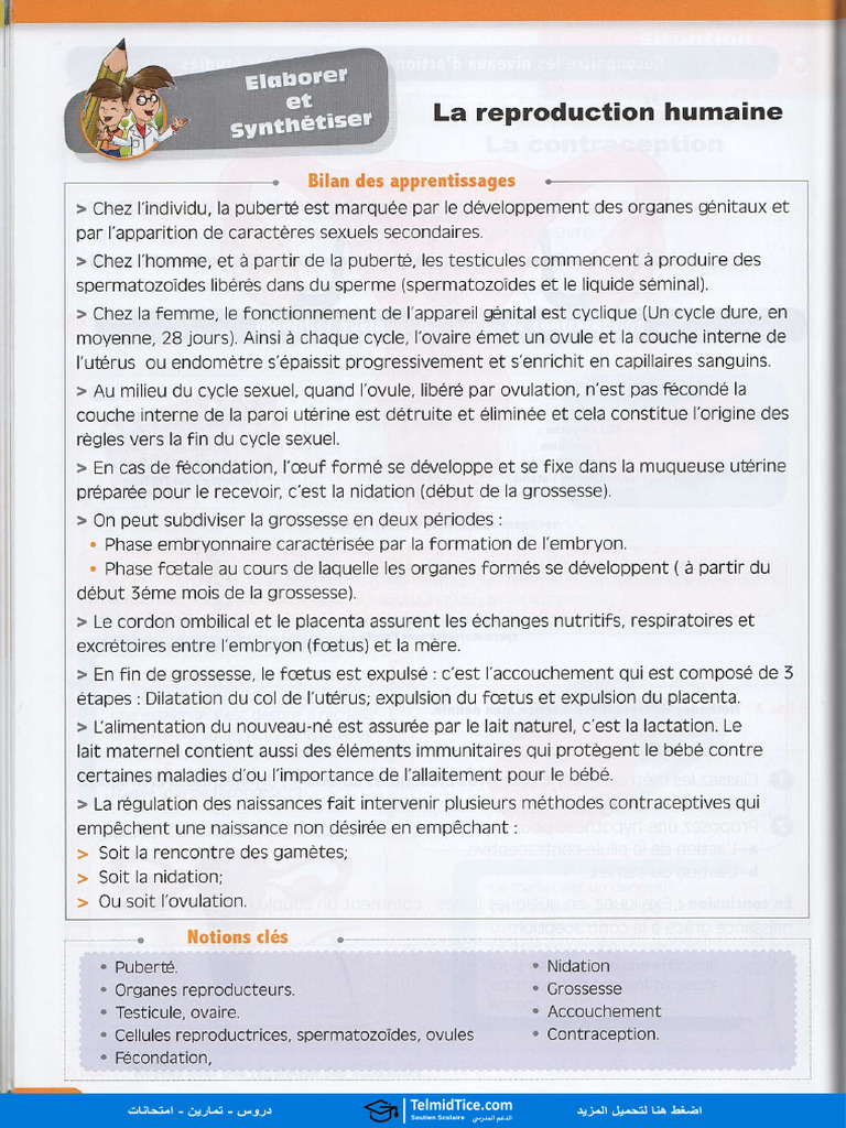 TelmidTice - La Reproduction Humaine - Résumé de Cours Manuel | PDF