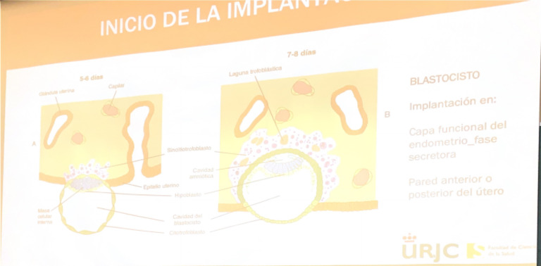 Documento escaneado 2-10-25 (12.09.06) | PDF