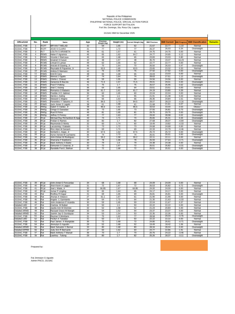 December 2025 BMI Report for PNP FSB | PDF | Body Mass Index | Overweight