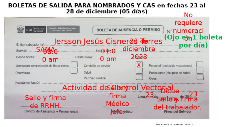 Registro de Boleta de Salida-Actividad de Control Vectorial 2023 (1) | PDF