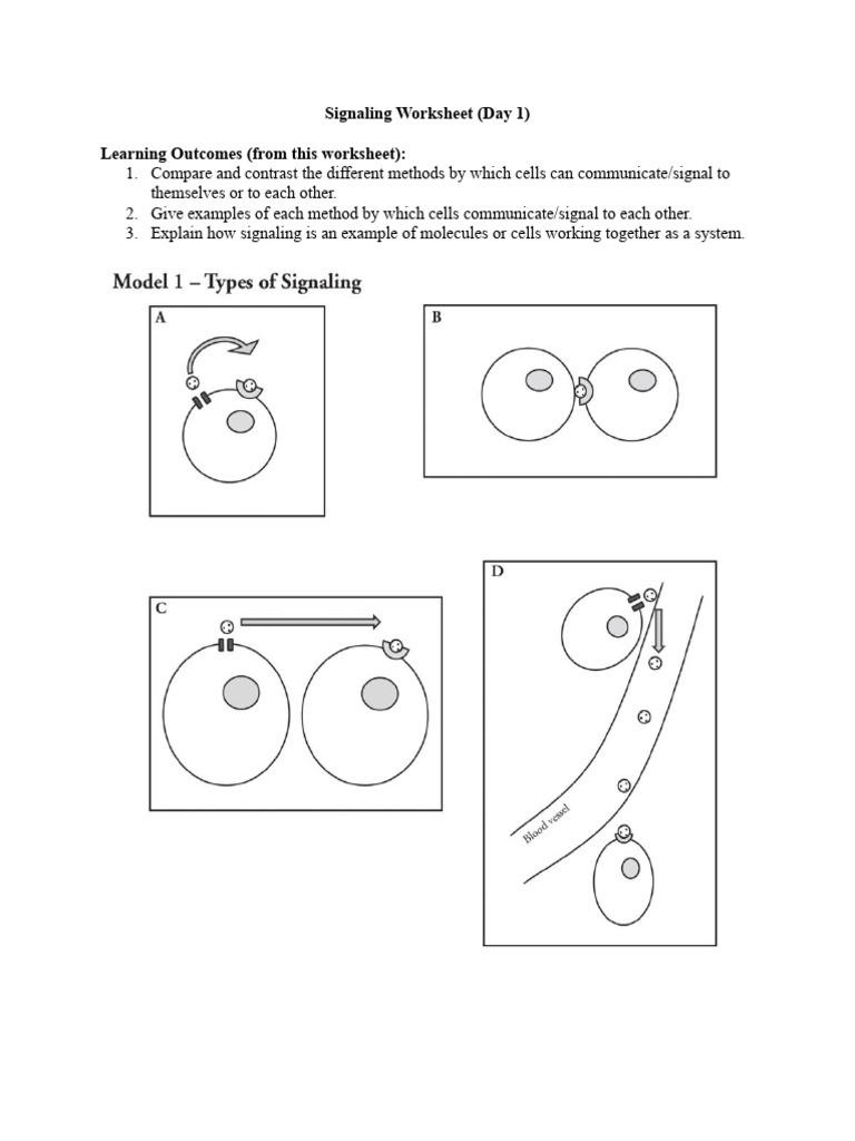 Signaling Day 1 Worksheet | PDF | Cell Signaling | Cell Communication