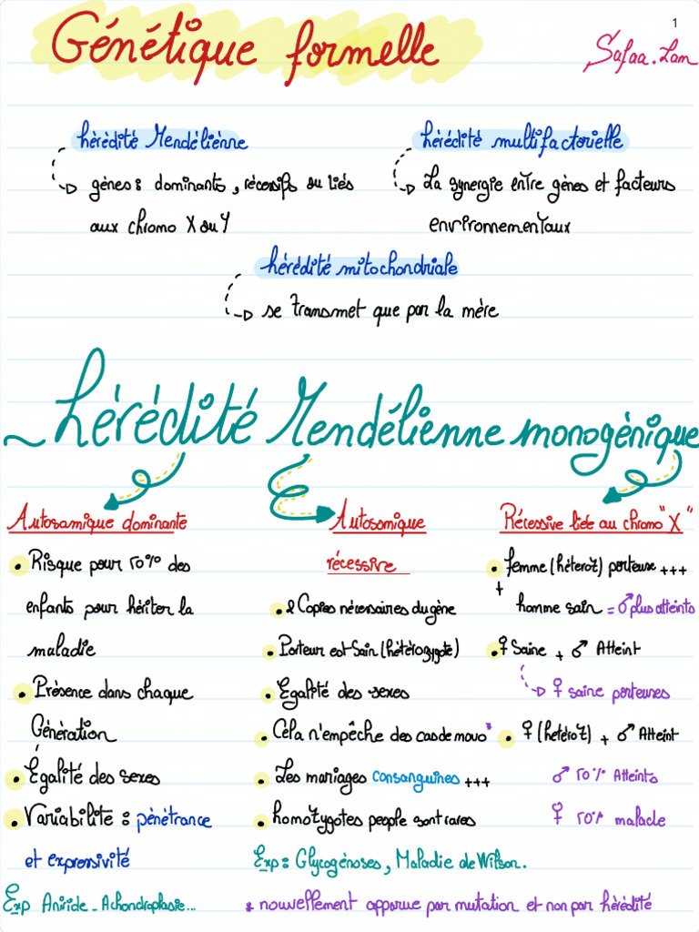 Génétique formelle By Safaa | PDF
