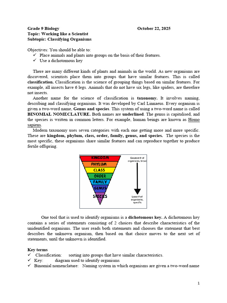 Classifying Organisms 1 | PDF