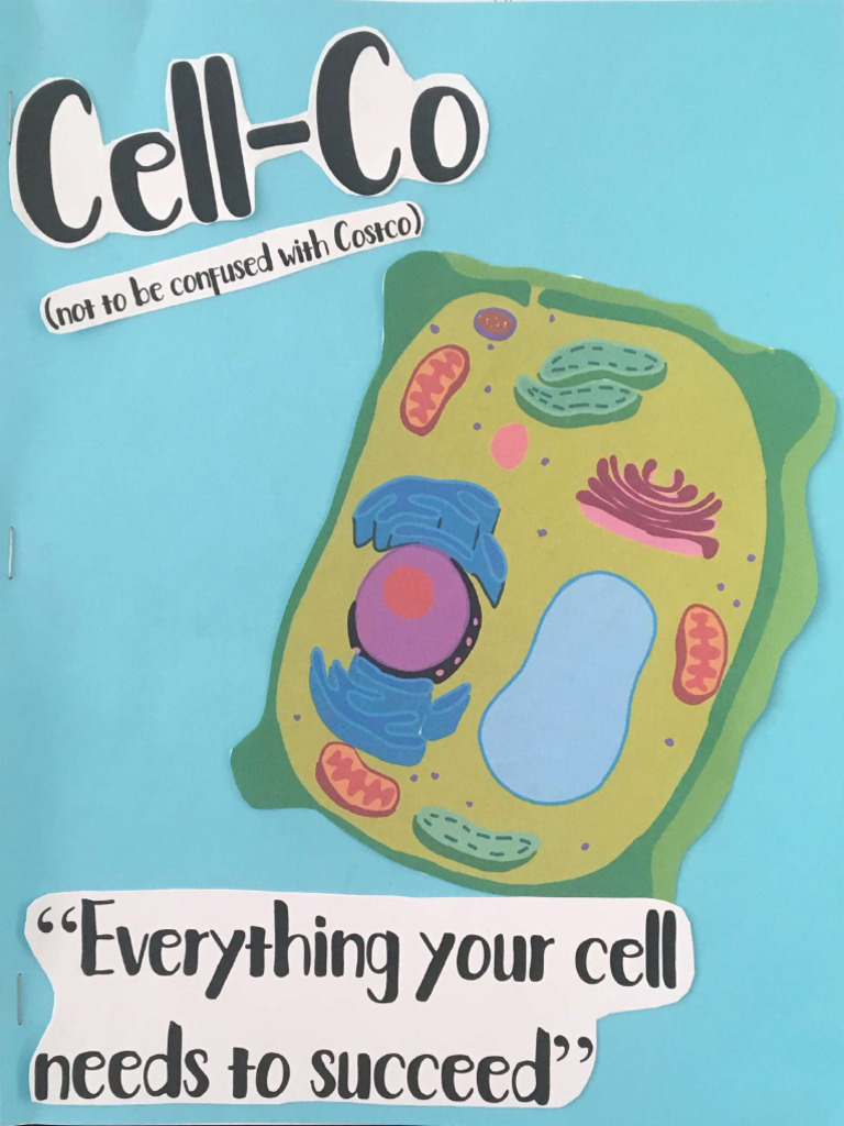 Cell Project Catalogue-1 | PDF