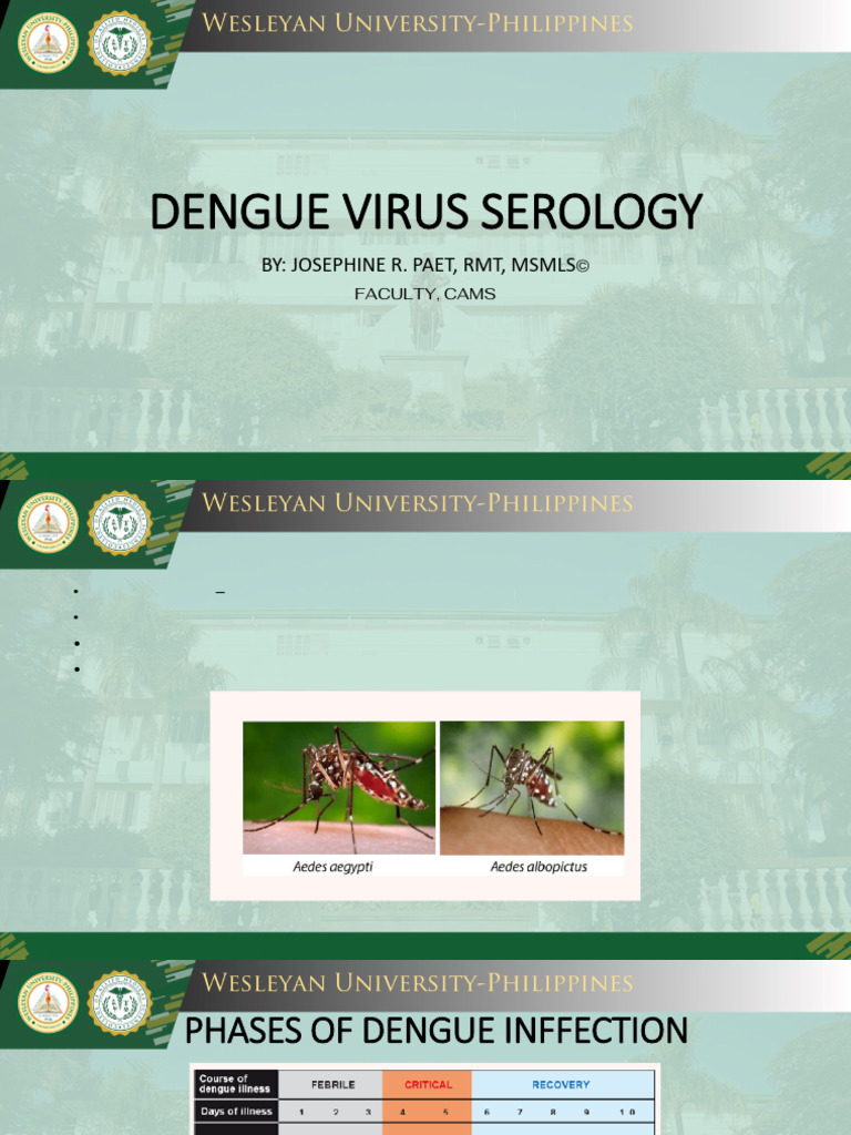 Lec 12 16 Test Kits Dengue and Hepatitis | PDF | Hepatitis B | Hepatitis