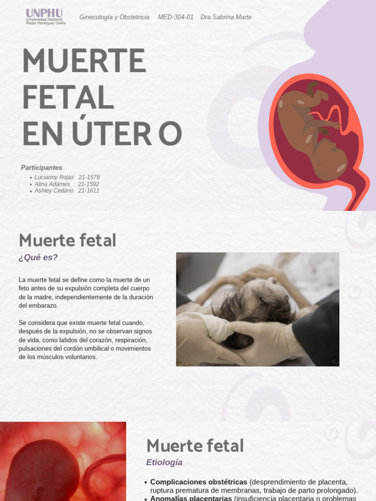 Muerte Fetal (Grupo 9).PDF | PDF | Feto | El embarazo