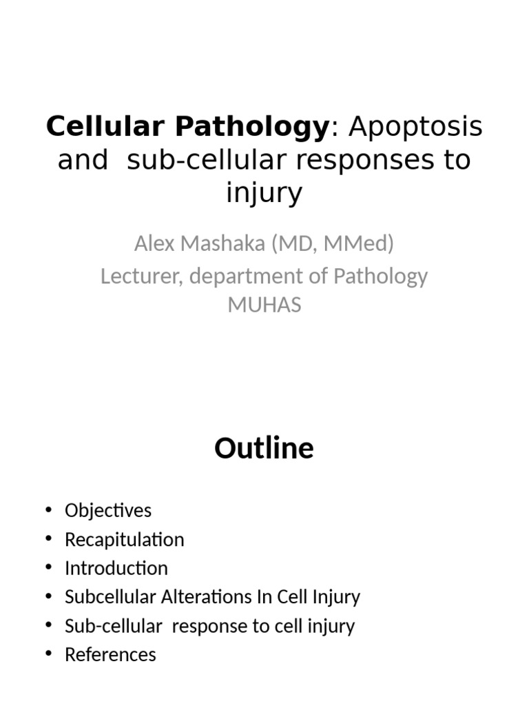 Apoptosis and Sub-Cellular Injury Responses | PDF | Apoptosis ...