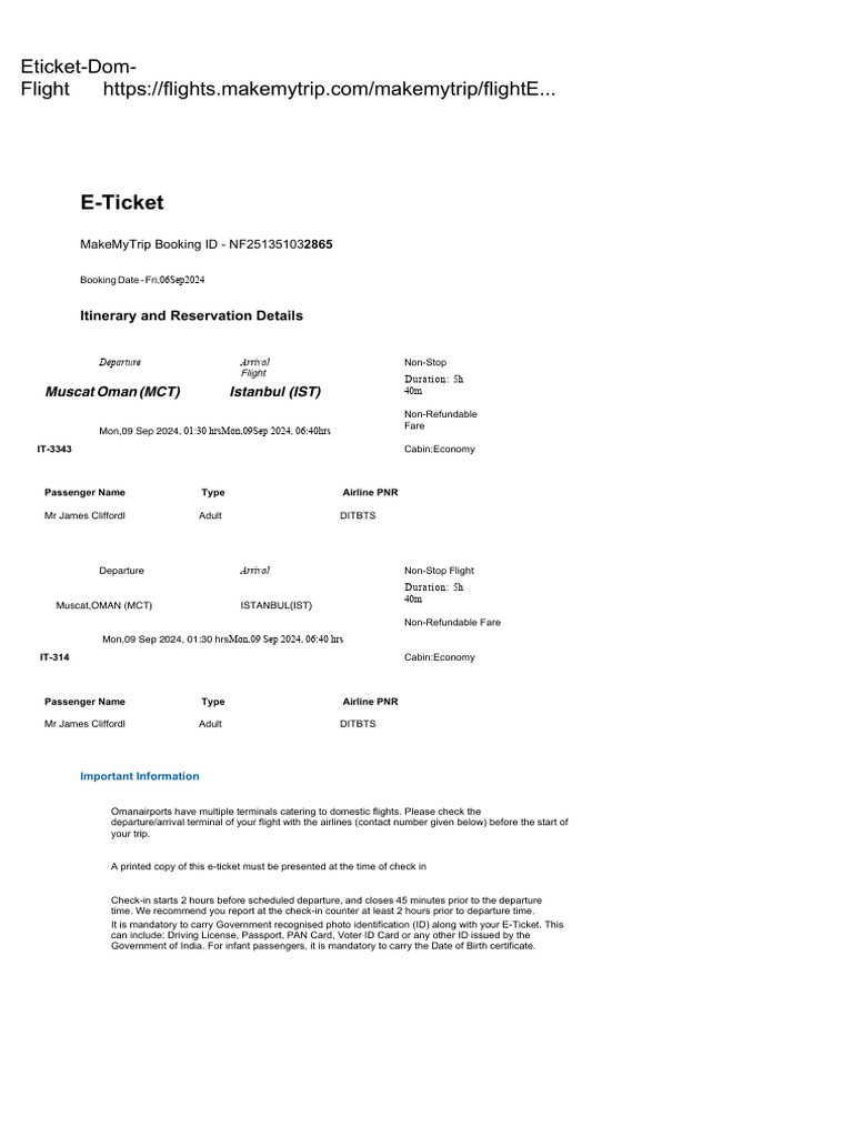 Examle of Dummy Ticket 2 | PDF | Baggage