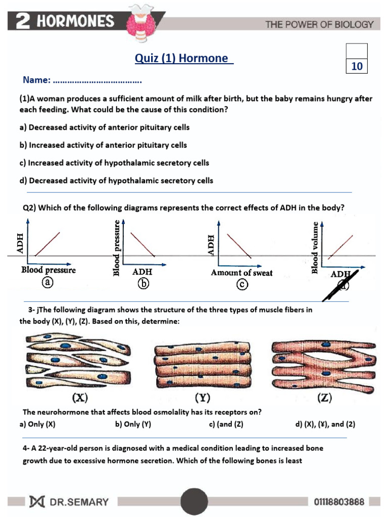 Quiz 1 Hormones | PDF | Pituitary Gland | Hormone