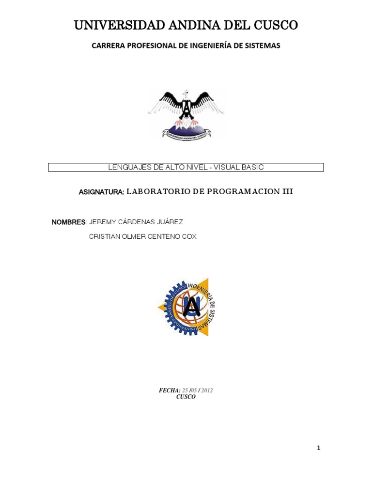 Informe de Visual Basic | PDF | Básico | Objeto (informática)