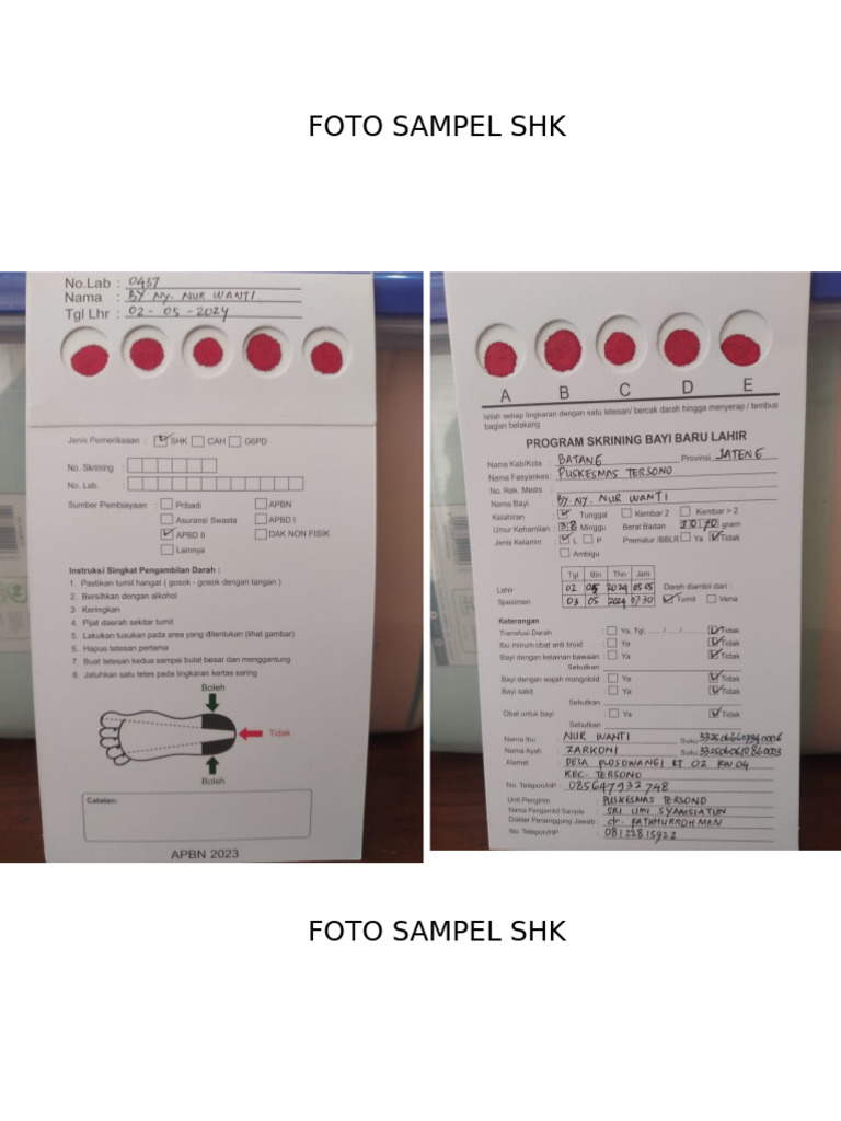 FOTO SAMPEL SHK | PDF