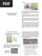 Hass Avocado Farming Guide | PDF | Grafting | Avocado