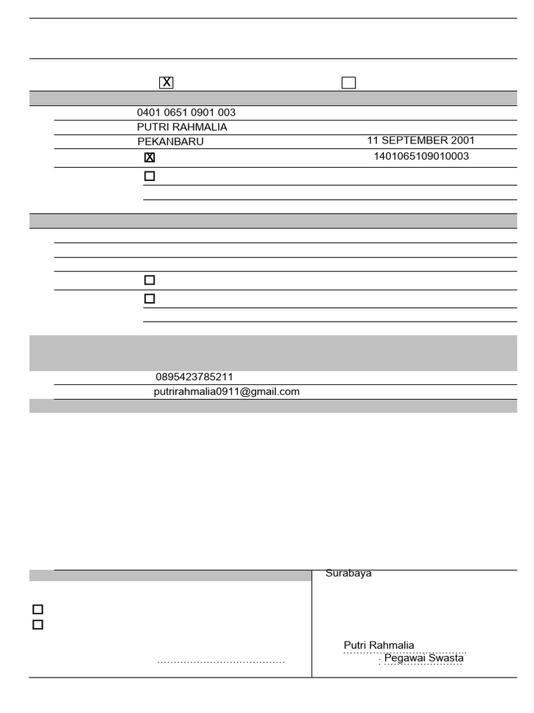 Formulir Aktivasi EFIN Pajak Indonesia | PDF