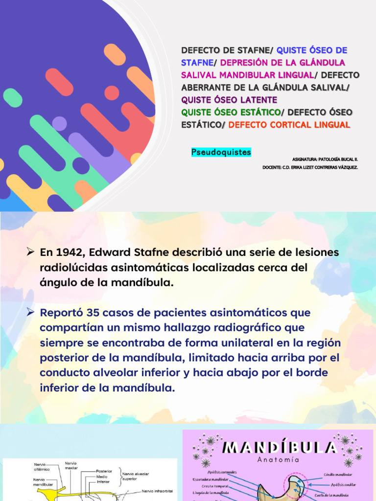Defecto de Stafne: Características y Diagnóstico | PDF | Hueso | Biopsia