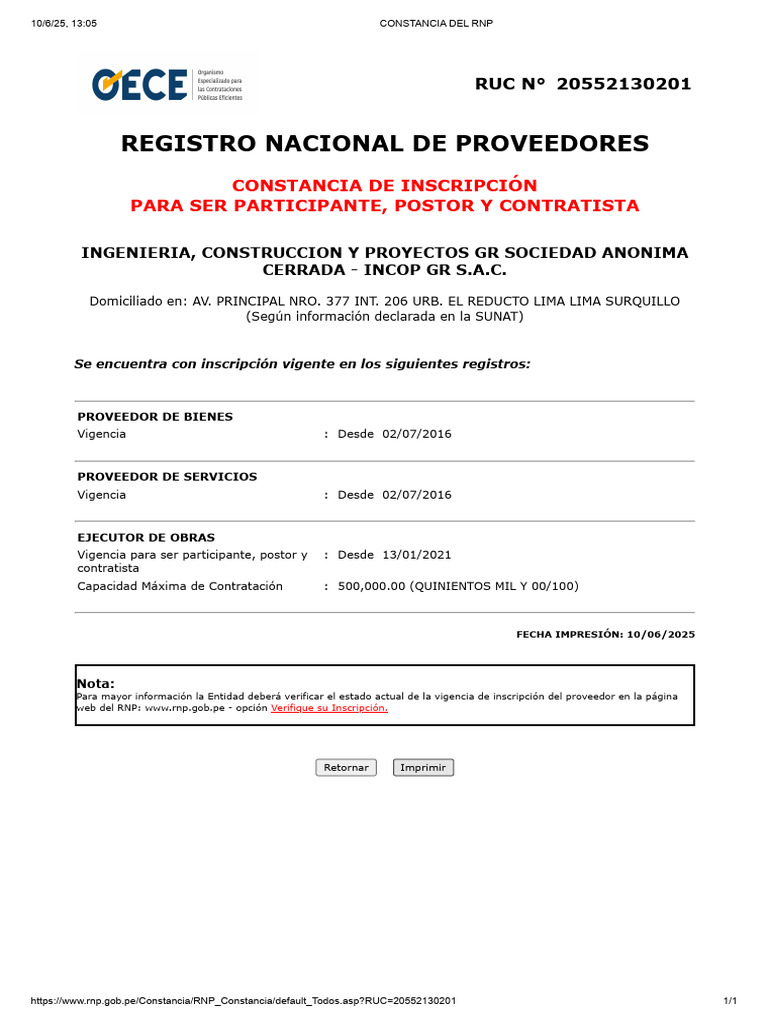 Constancia Del Rnp | PDF