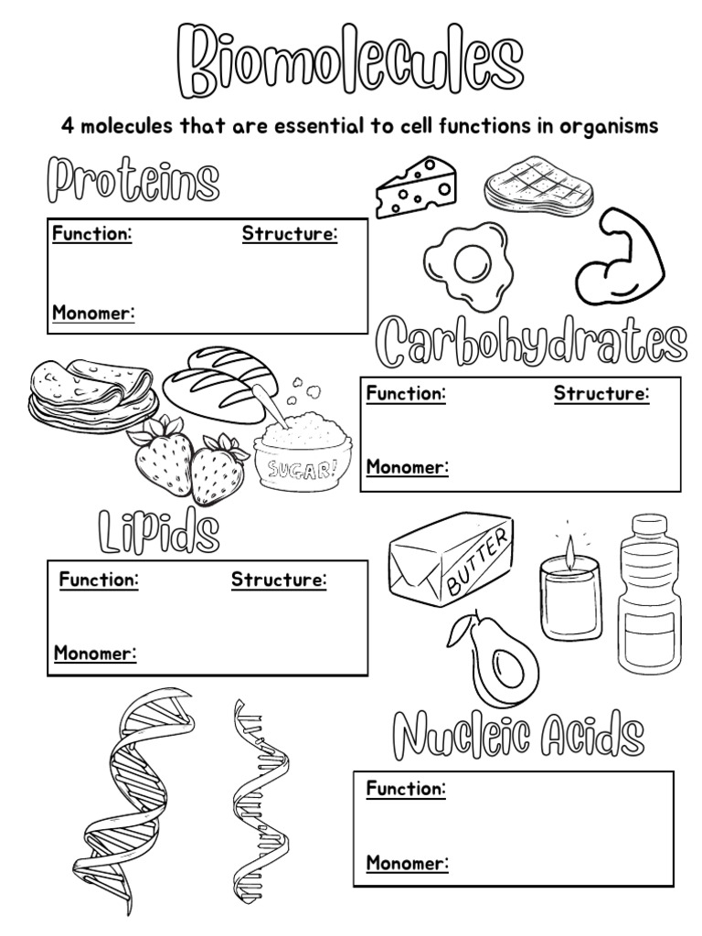 BiomoleculesHandoutActivity-1 | PDF