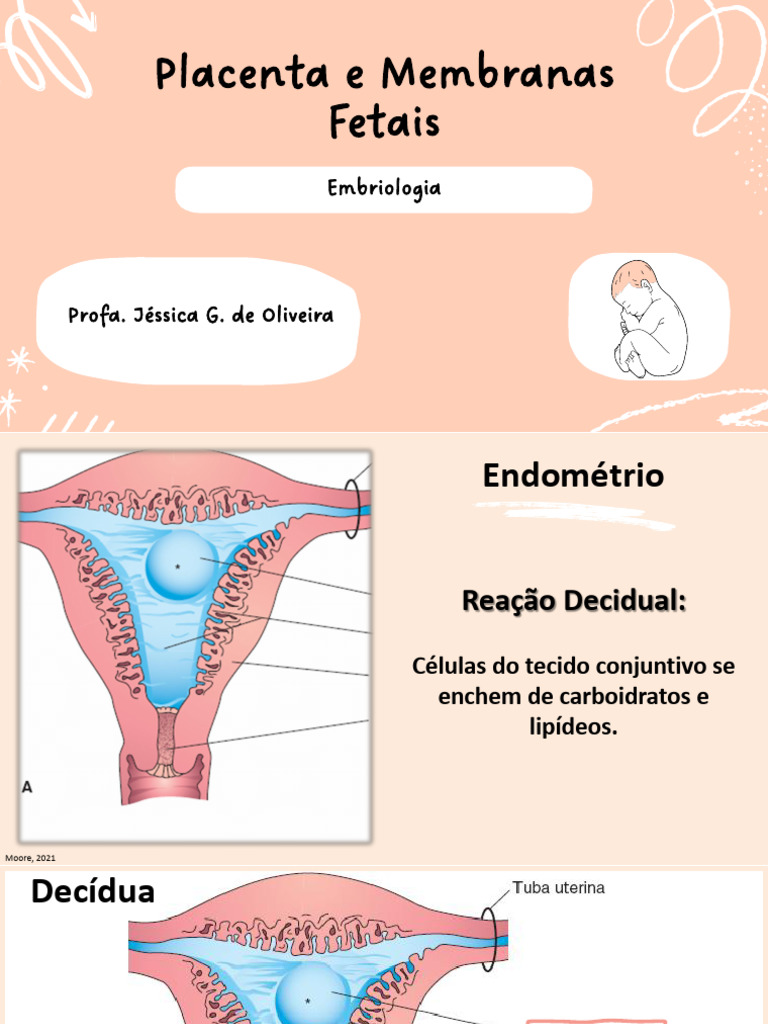 7-8. Placenta e Membranas Fetais_Aula Única | PDF | Placenta | Anatomia
