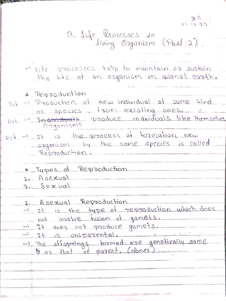 10th Class Life Processes Part 2 Notes | PDF