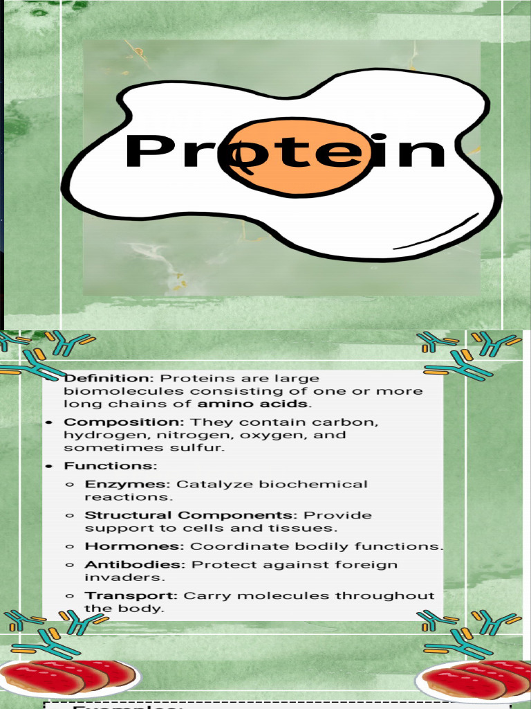 POWERPOINT-WPS Office | PDF | Fermented Drinks | Grape Varieties