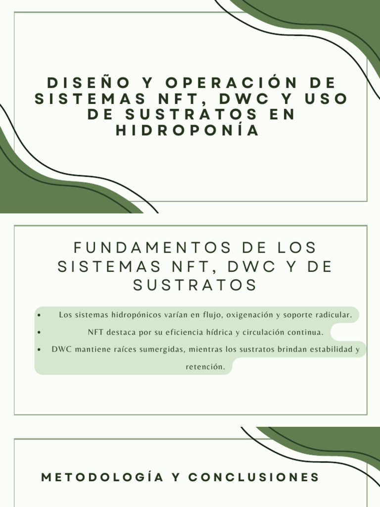 Eficiencia de Sistemas Hidropónicos NFT y DWC | PDF