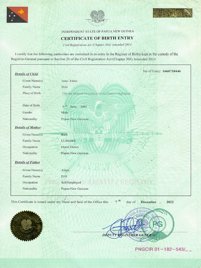 Birth Certificate | PDF
