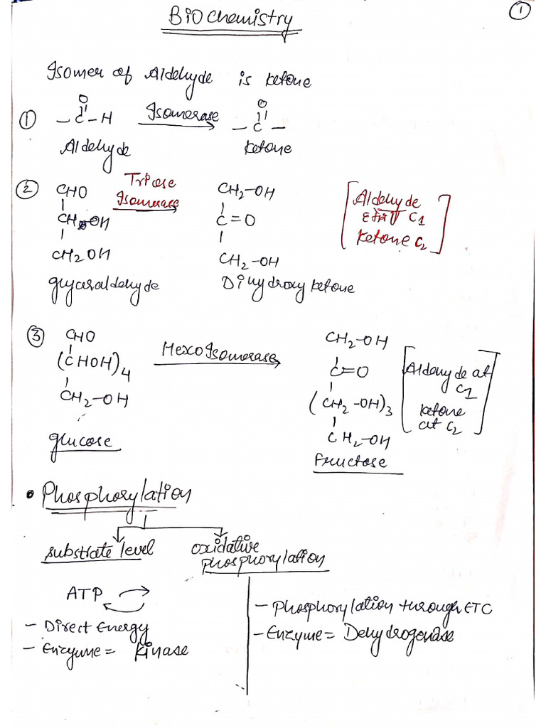 Biochemistry Part 1 | PDF