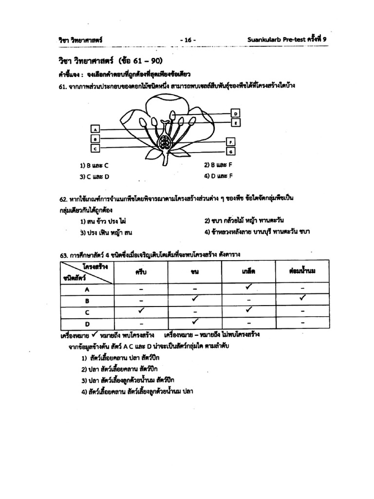 prerest-20-E0-B8-A1.1-20-E0-B8-A7-E0-B8-B4-E0-B8-97-E0-B8-A2-E0-B9-8C ...