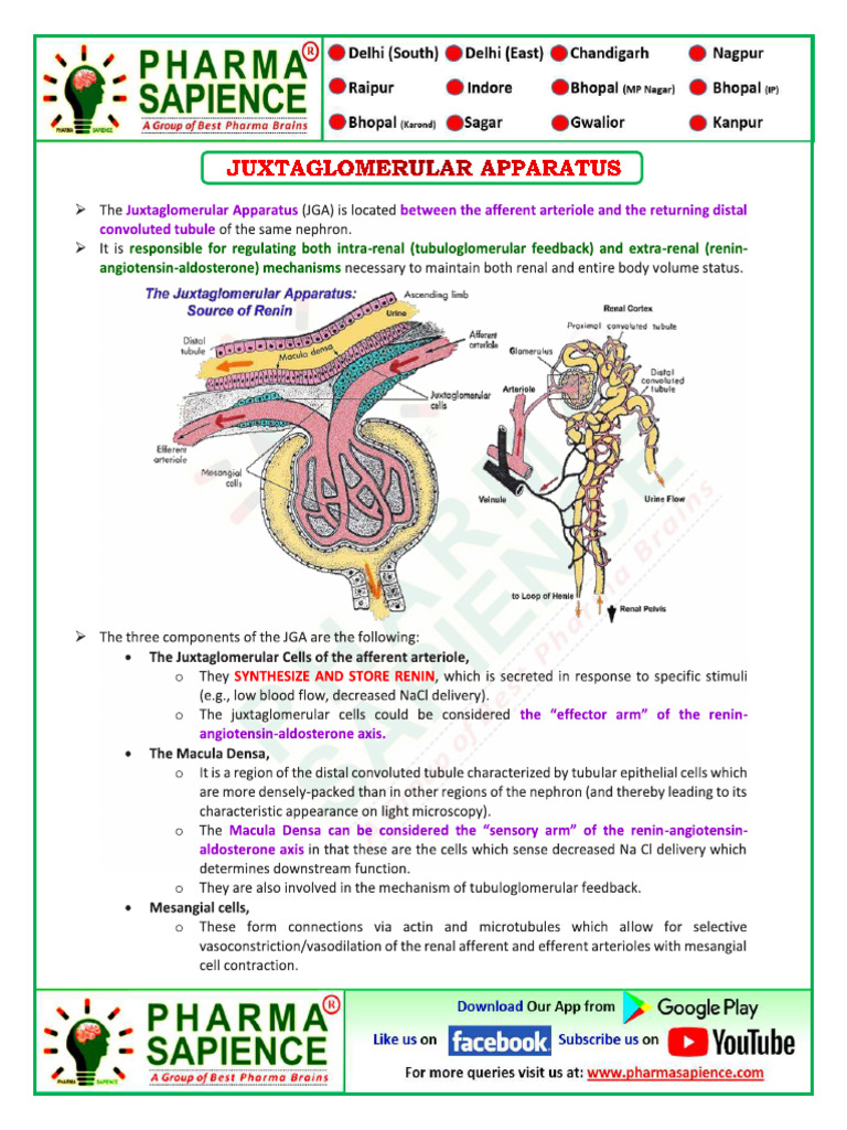 JG Cells by Pharma Sapience Team - Anti | PDF