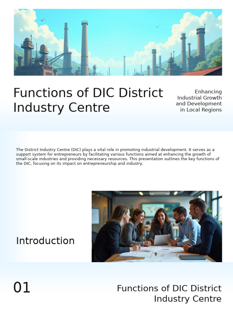 DIC Functions for Industrial Growth | PDF | Entrepreneurship | Business