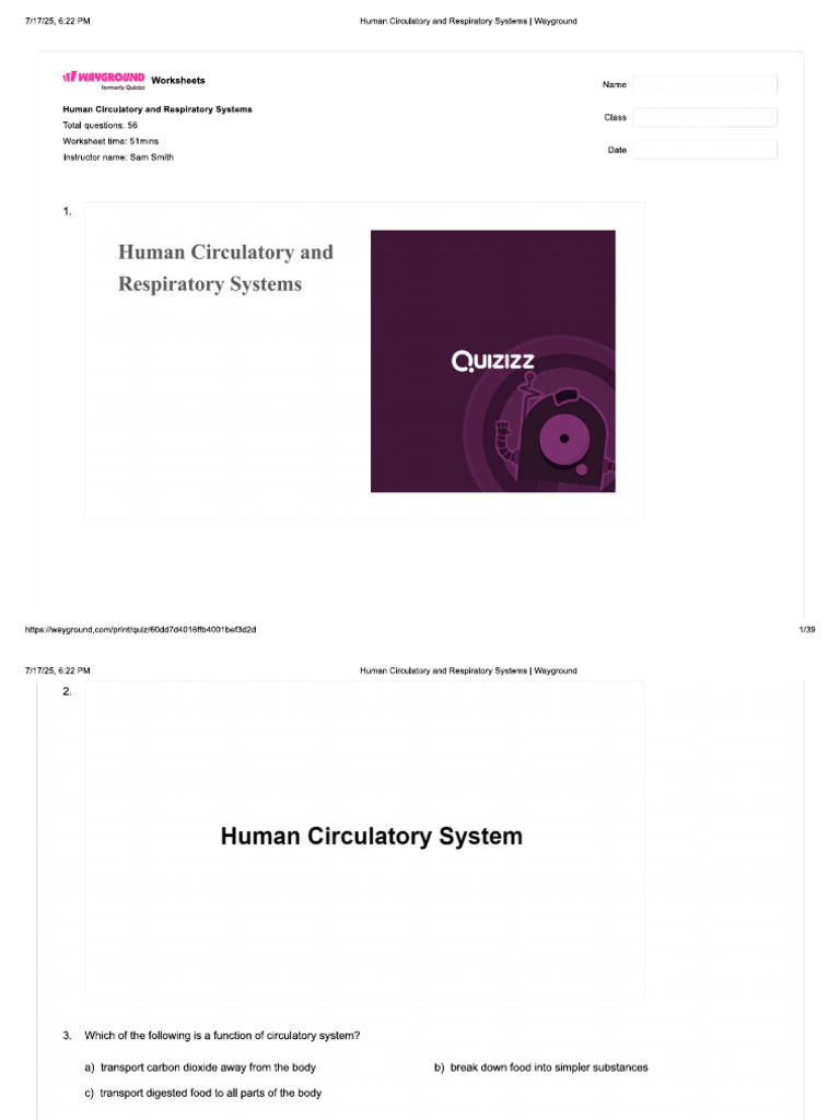 Homework Circulatory System | PDF