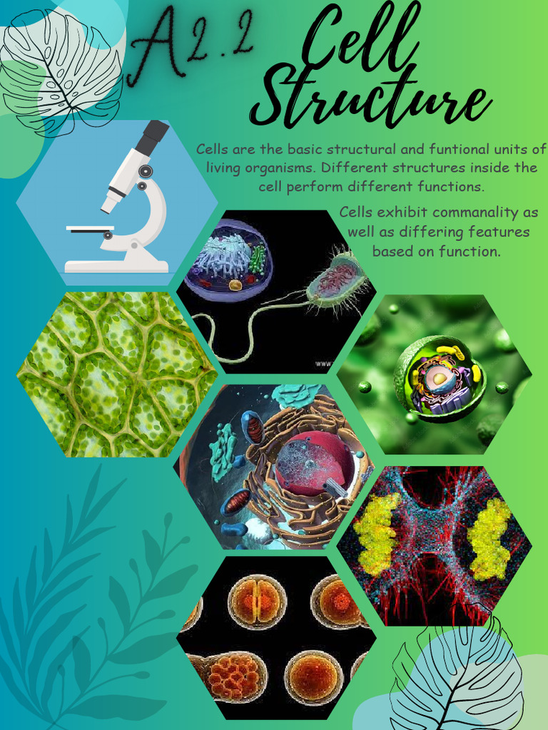 Understanding Cell Structure and Function | PDF