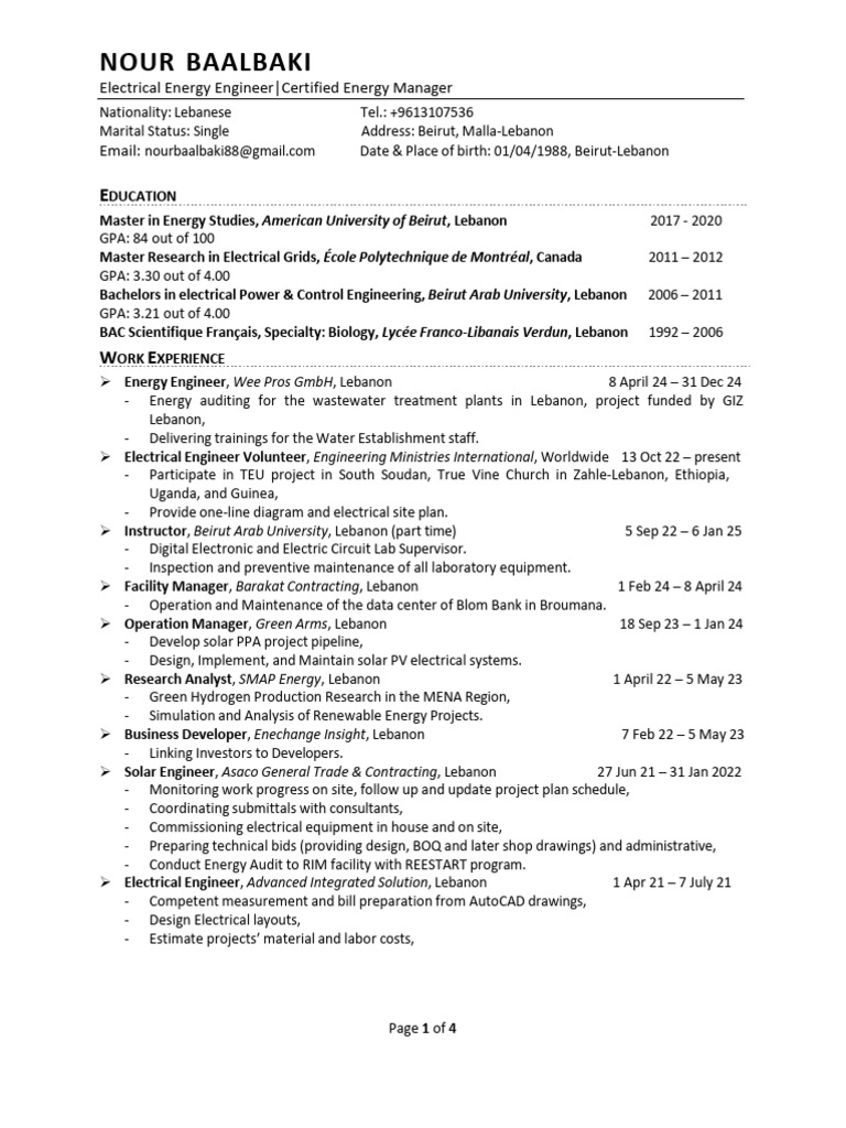 Nour Baalbaki- CV | PDF