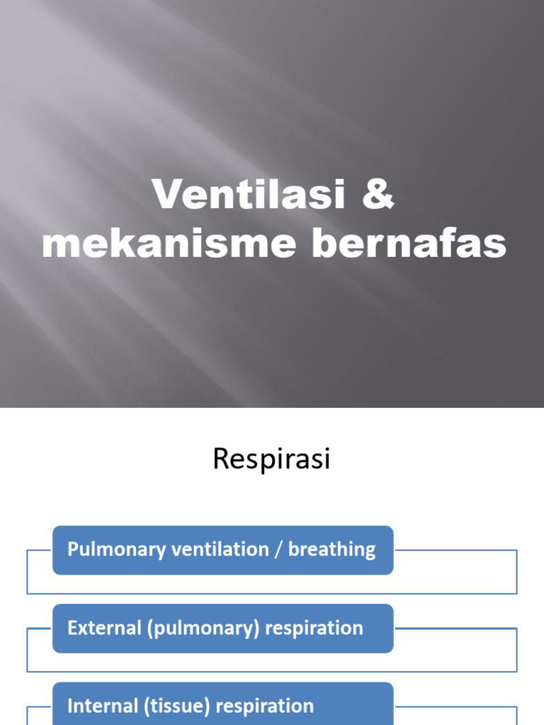 Respiratory System 2 | PDF