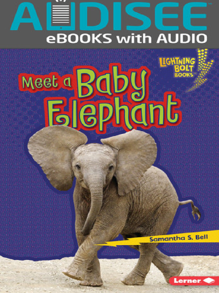 Meet A Baby Elephant | PDF