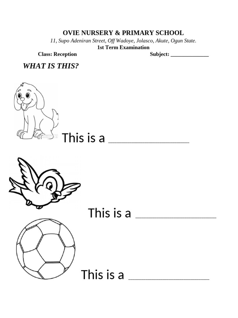 Reception Class Exam Document | PDF
