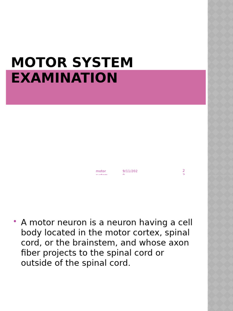 Motor System Examination Guide | PDF | Anatomical Terms Of Motion ...