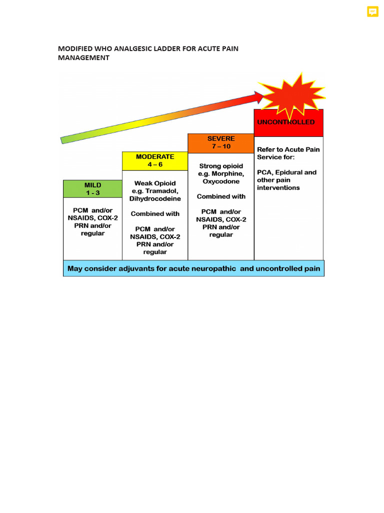 5. Modified Pain Ladder | PDF