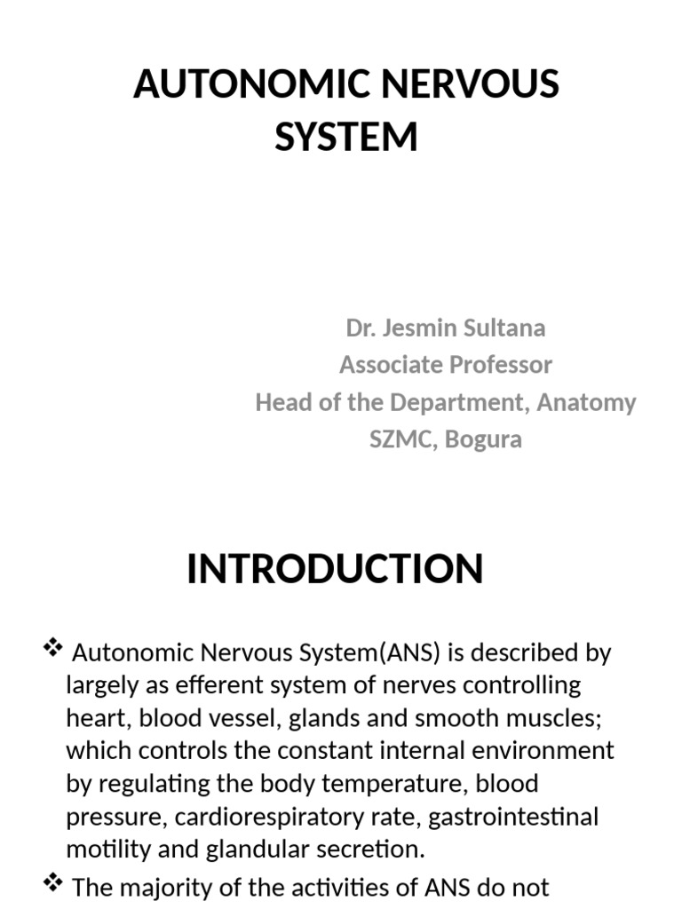 Autonomic Nervous System | PDF | Autonomic Nervous System | Nervous System