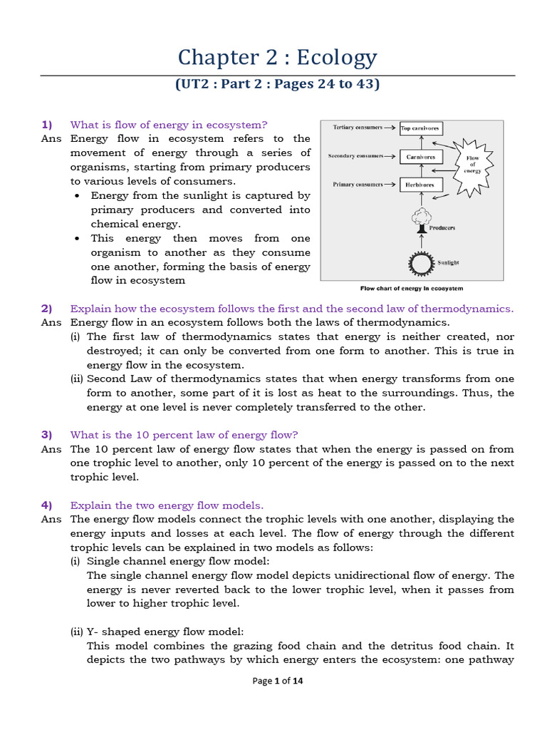 Energy Flow and Ecosystem Dynamics | PDF | Ecosystem | Food Web