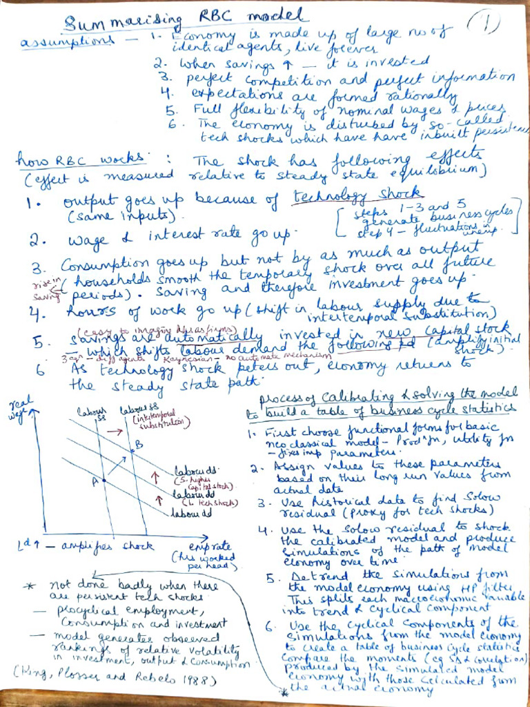 RBC Model Analysis and Economic Insights | PDF