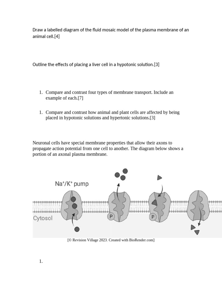 Fluid Mosaic Model & Membrane Transport | PDF