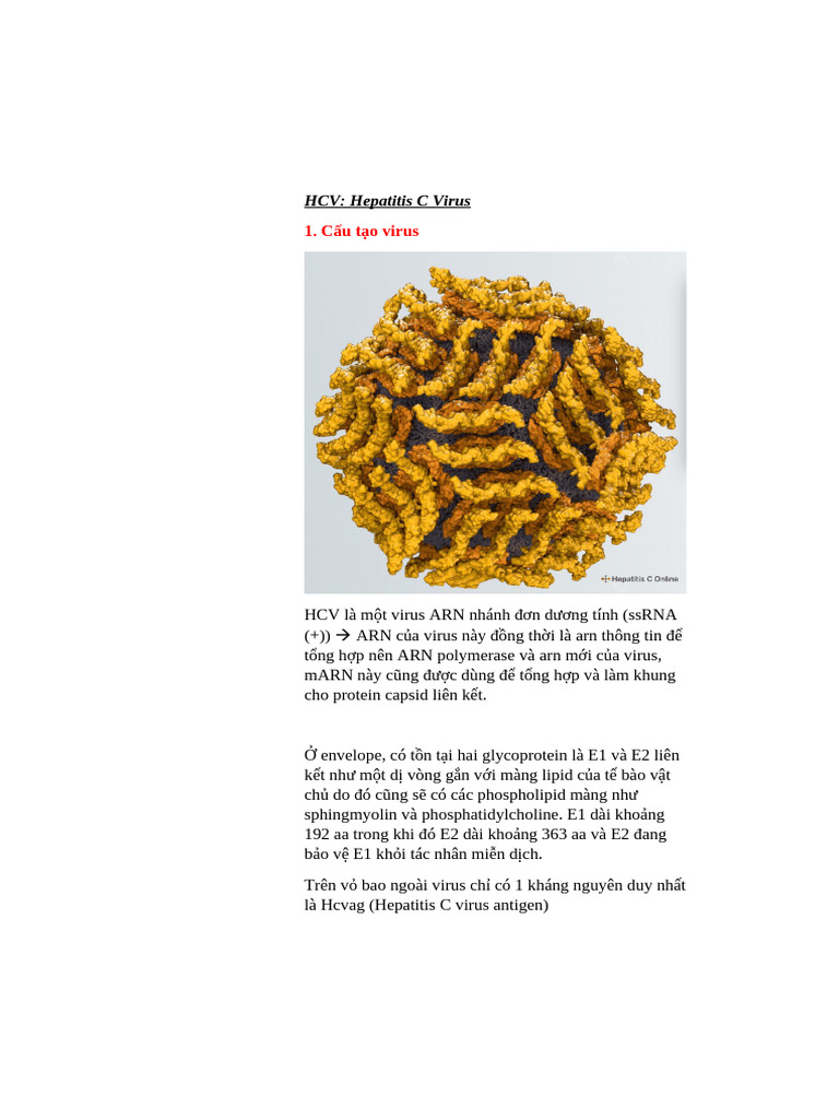 HCV: Hepatitis C Virus | PDF