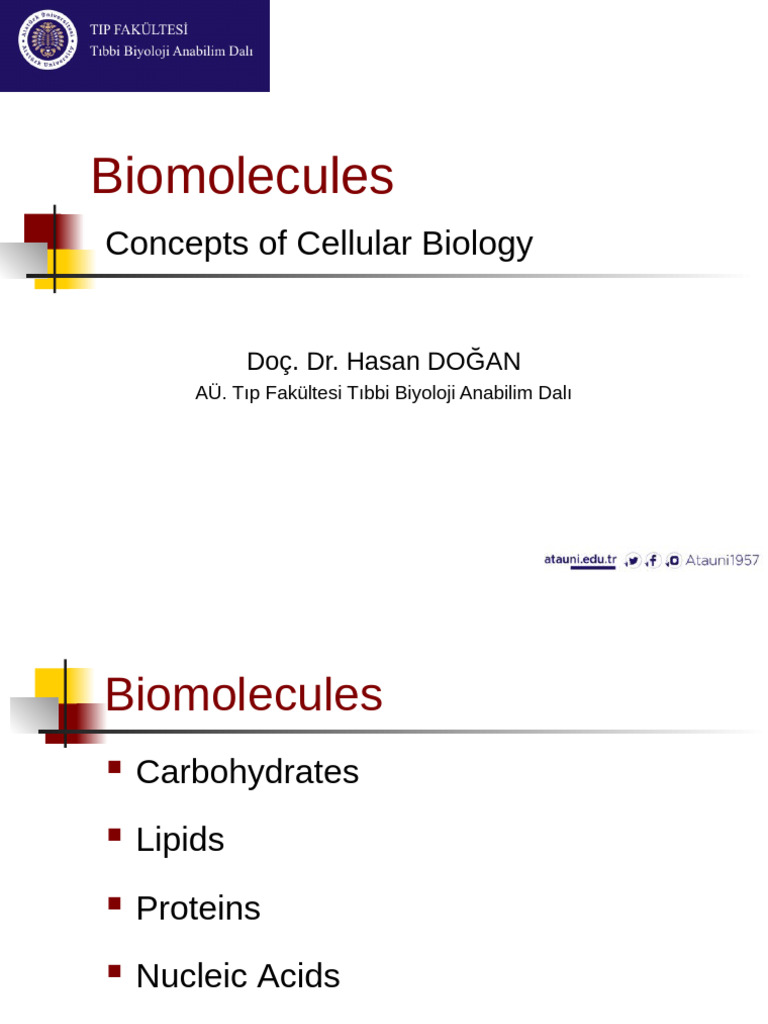 Biomolecules - 2h Ing d2 Sbf1 Bh1 | PDF | Lipid | Protein Structure