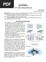 Fish Circulation: Gill and Systemic Flow | PDF | Heart | Artery