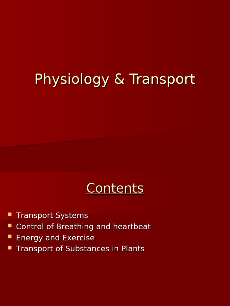 Human Circulatory and Plant Transport Systems | PDF | Atrium (Heart ...