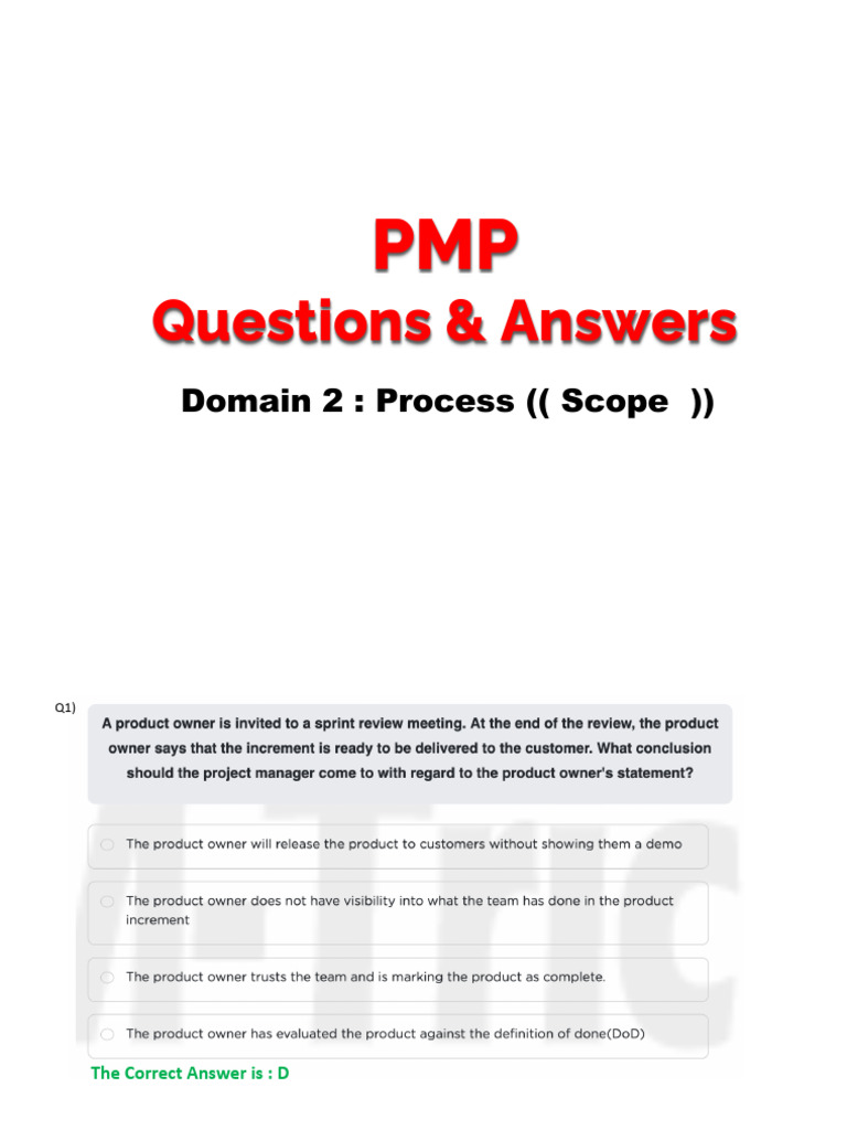 PMP Process Domain Q&A Guide | PDF