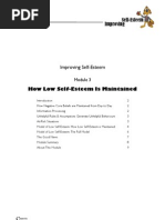 Low Self Esteem Formulation Lang Eng Us Format Professional | PDF ...