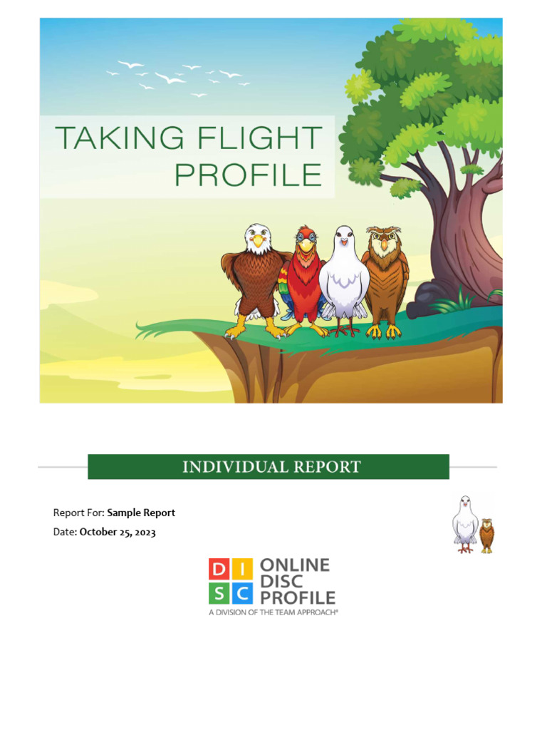 Report Sample DISC Birds-4 | PDF | Anger | Learning