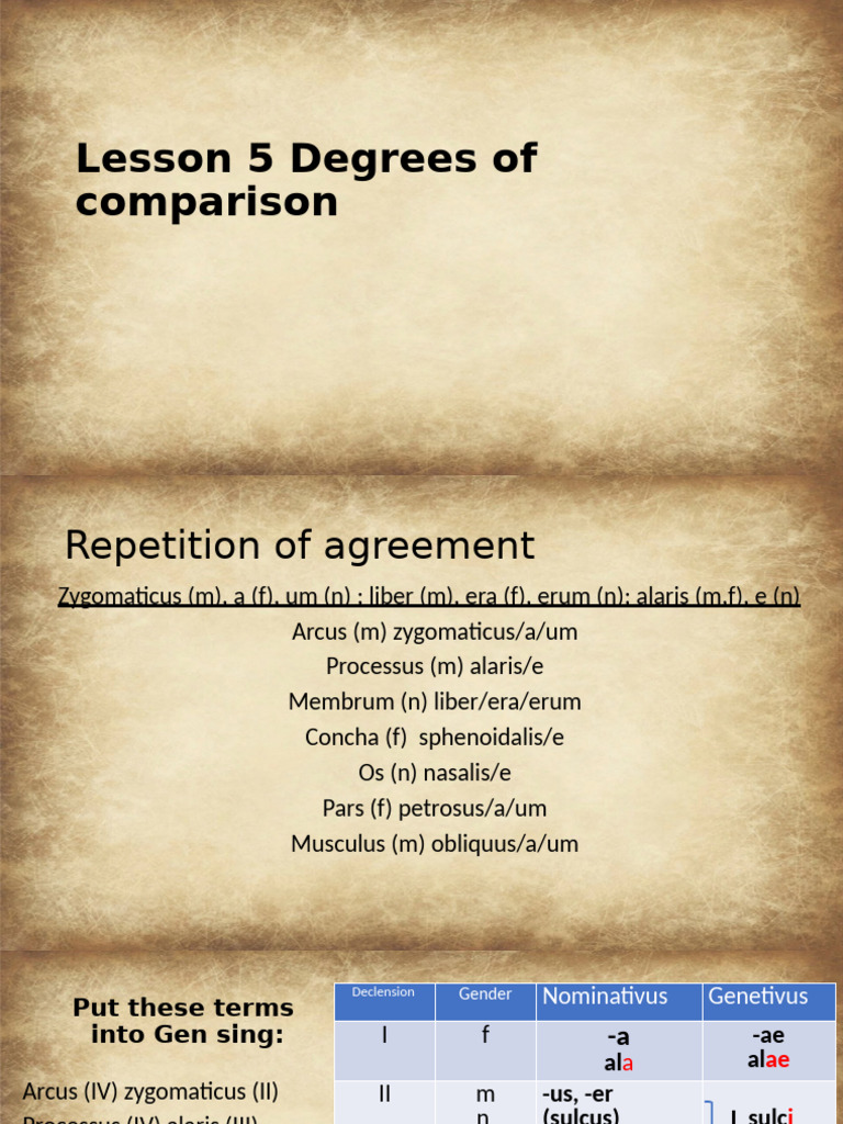 Degrees of Adjectives Lecture 5 | PDF