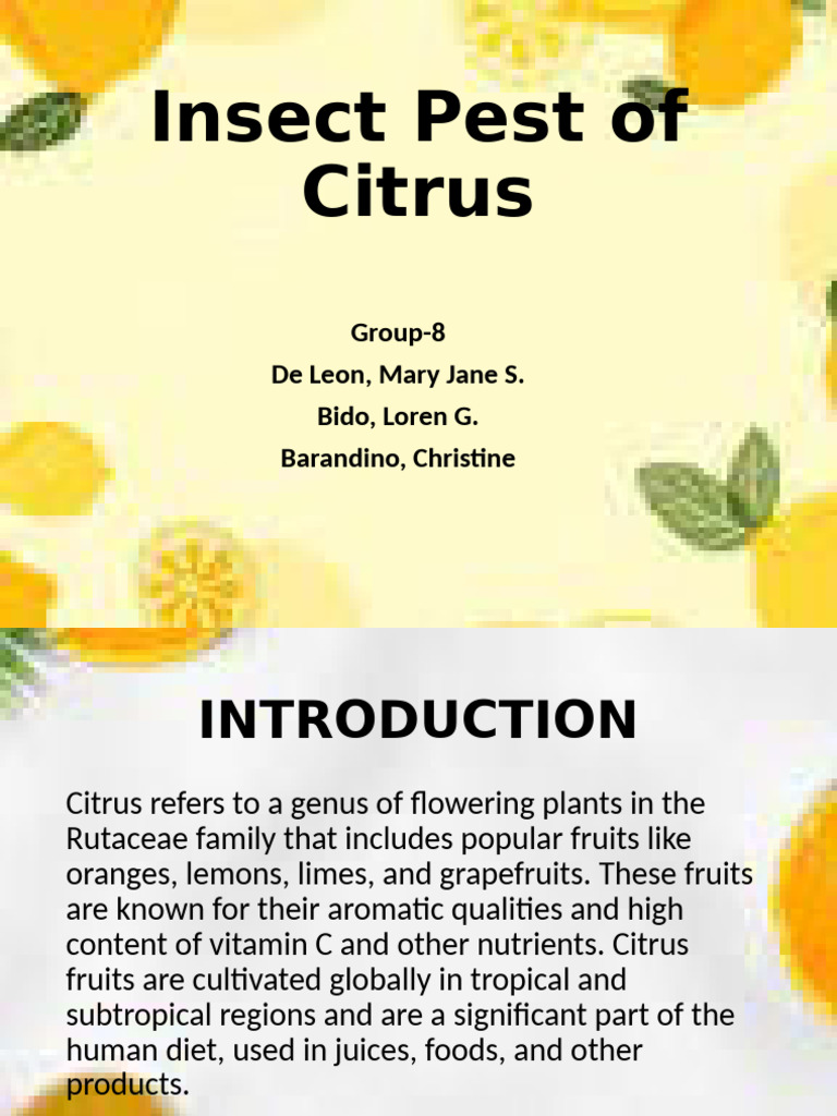 Insect-Pest-of-WPS-Office | PDF | Pest (Organism) | Citrus